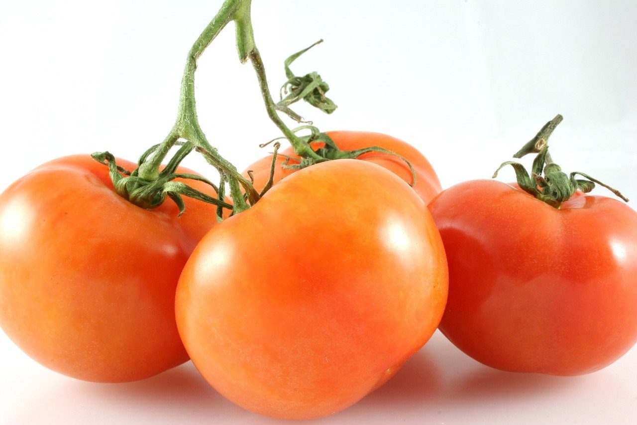 La tomate : fruit ou légume
